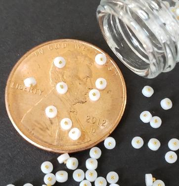 News | custominterconnects